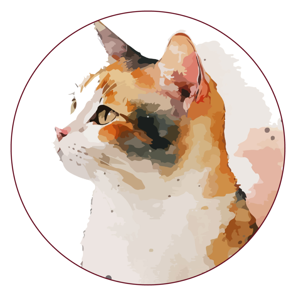 Home - Community Cat Champions